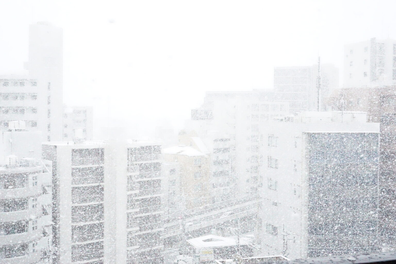 雪がきた！ – Arkey's Diary